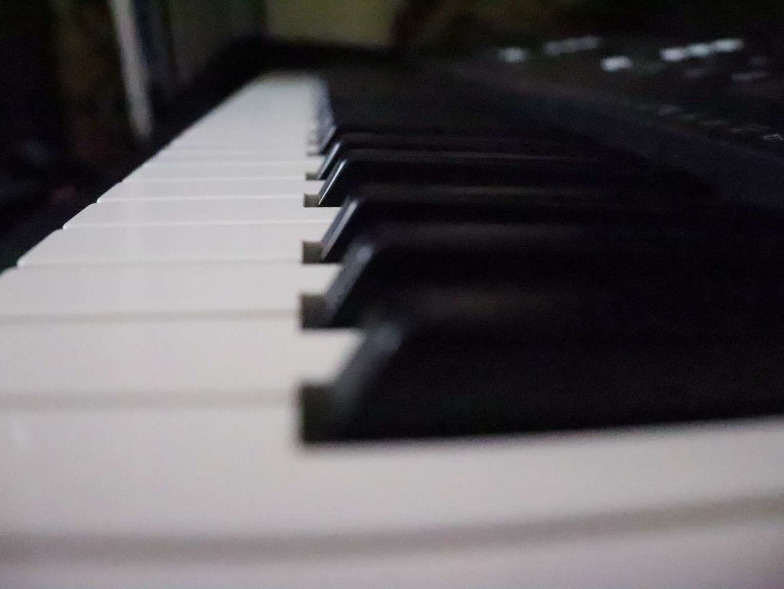 Zagi czyli letnie dźwięki w Milanówku